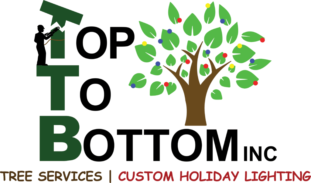 Contact | Reach Out to Top To Bottom Trees Inc
