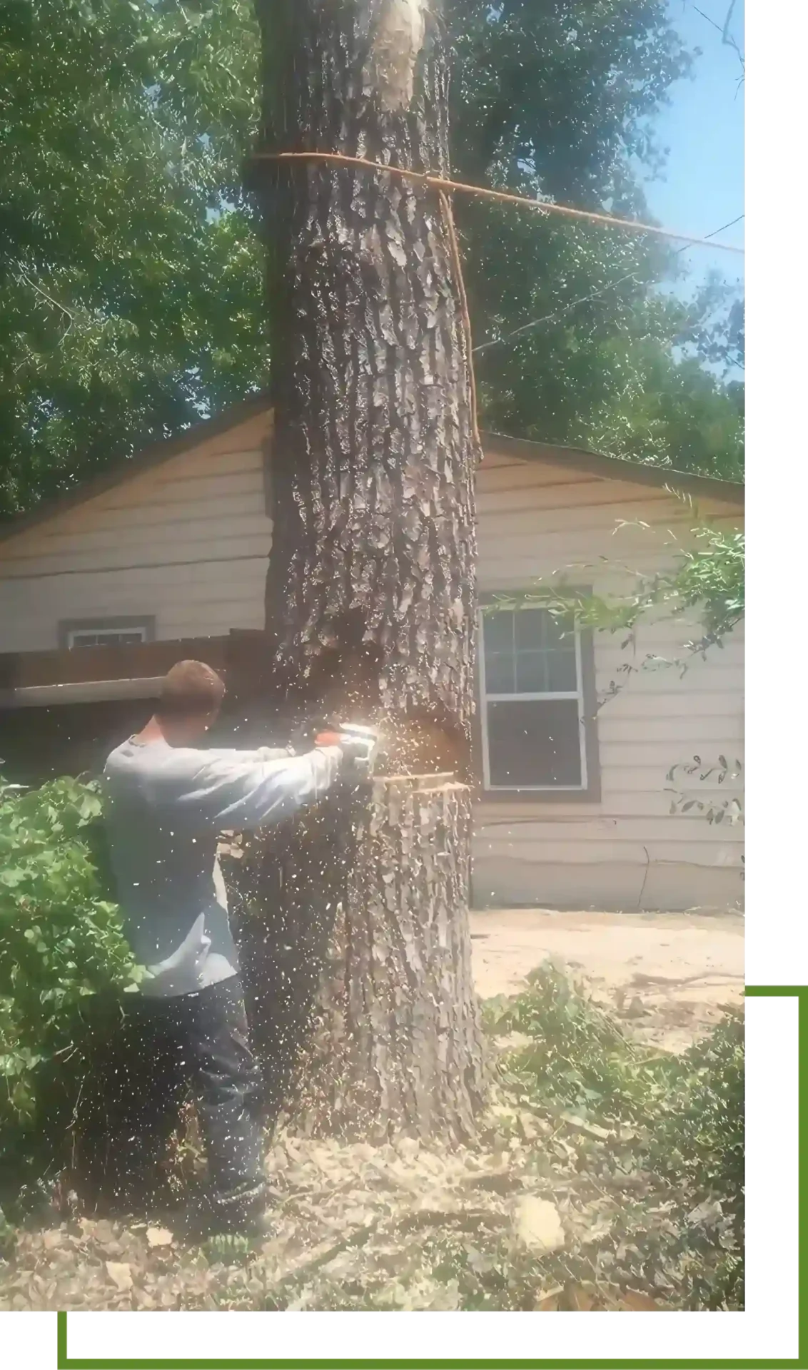 Contact | Reach Out to Top To Bottom Trees Inc