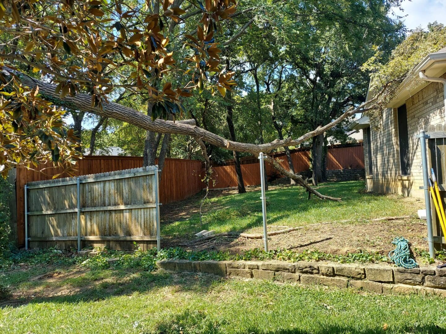 Gallery | Our Past Projects at Top To Bottom Trees Inc